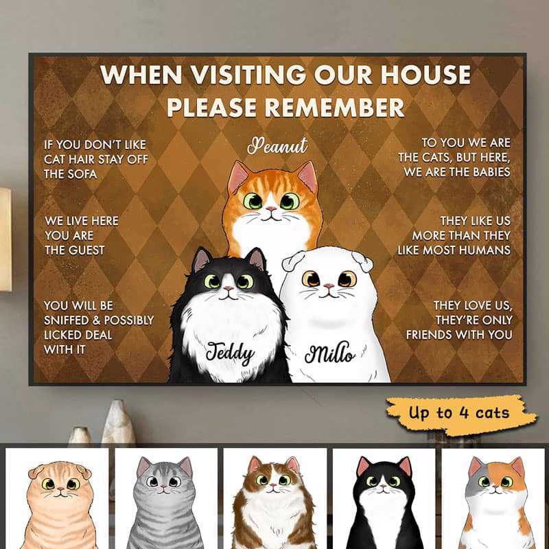 When Visiting My House Cats Personalized Horizontal Poster ...